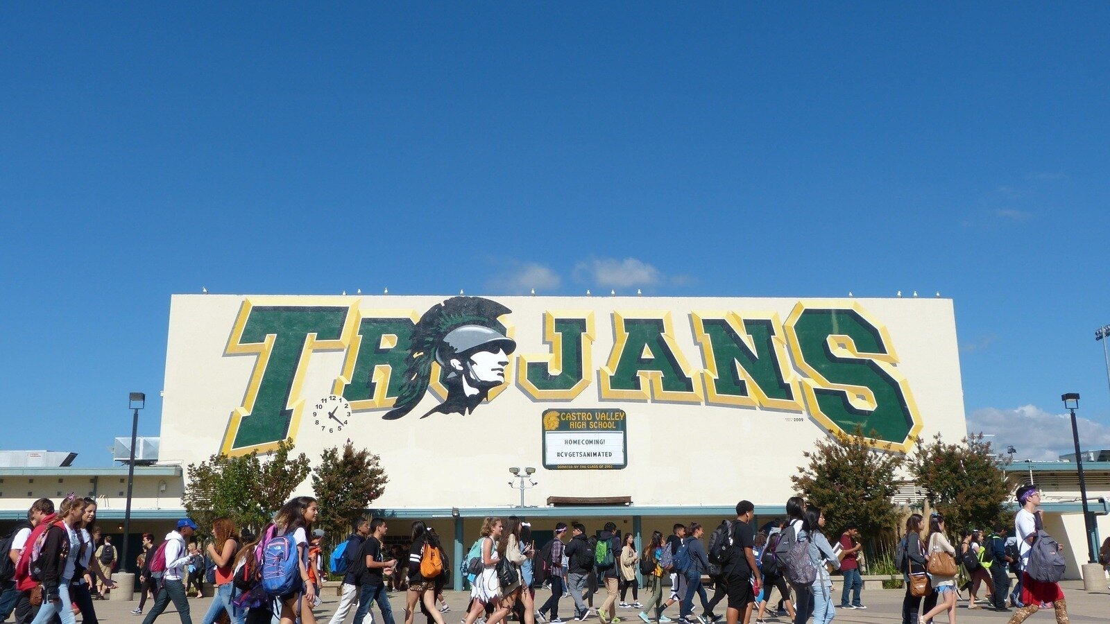 Petition · Improve Castro Valley High School Course Distribution ...