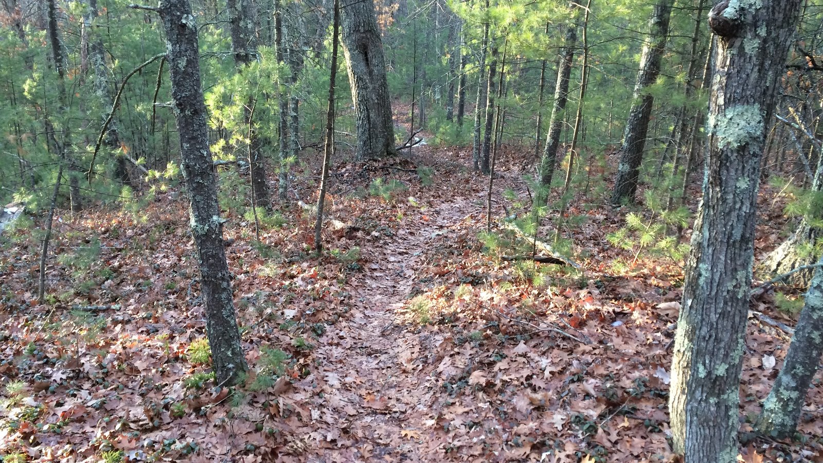 Petition · Support Sustainable Trails in the Ware River Watershed ...