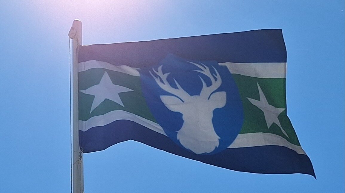 Petition · Adopt a New Michigan State Flag Design - United States ...