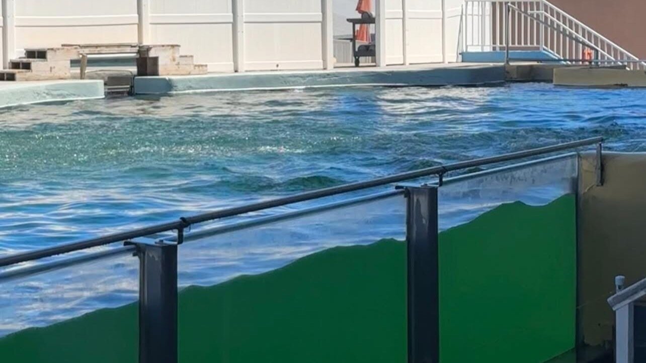 Petition · Shut Down Gulf World Marine Park Due to Animal Mistreatment ...