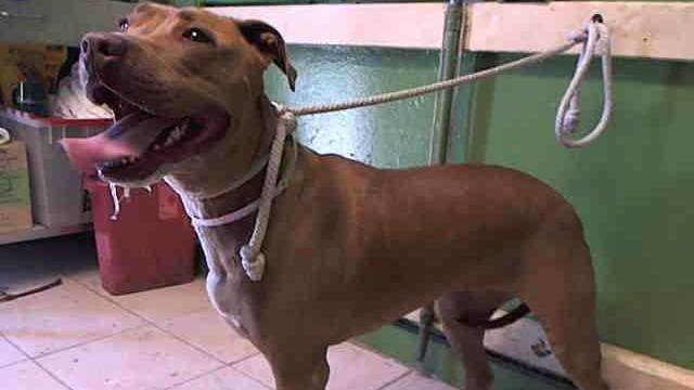 Petition update · IN CARSON FOR 81 DAYS AND HAS NOT BEEN GIVEN A TEMP ...