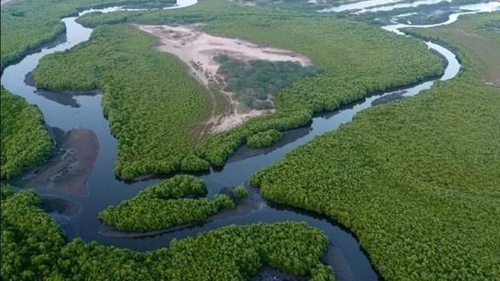 Petition · Save MADA forests and save Life - India · Change.org