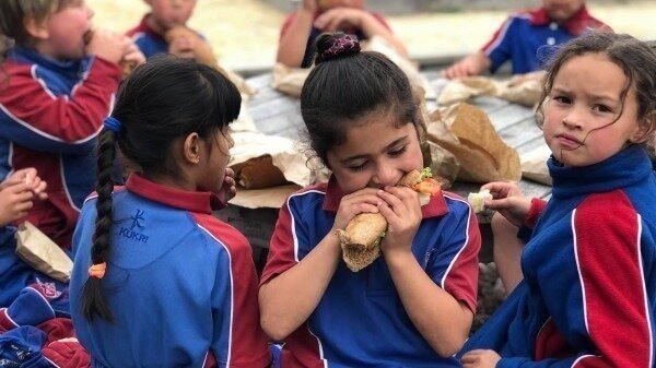 Petition · Maintain Free School Lunches for Students in New Zealand ...