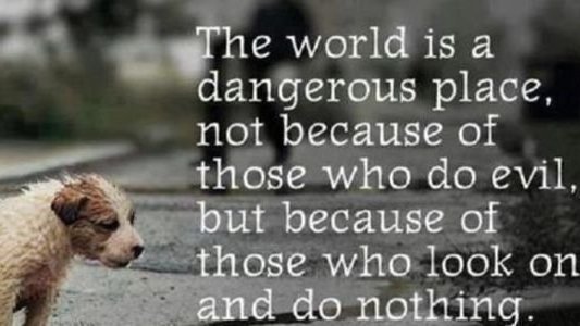 Petition · Animals can't speak for themselves. Lend them your voice ...