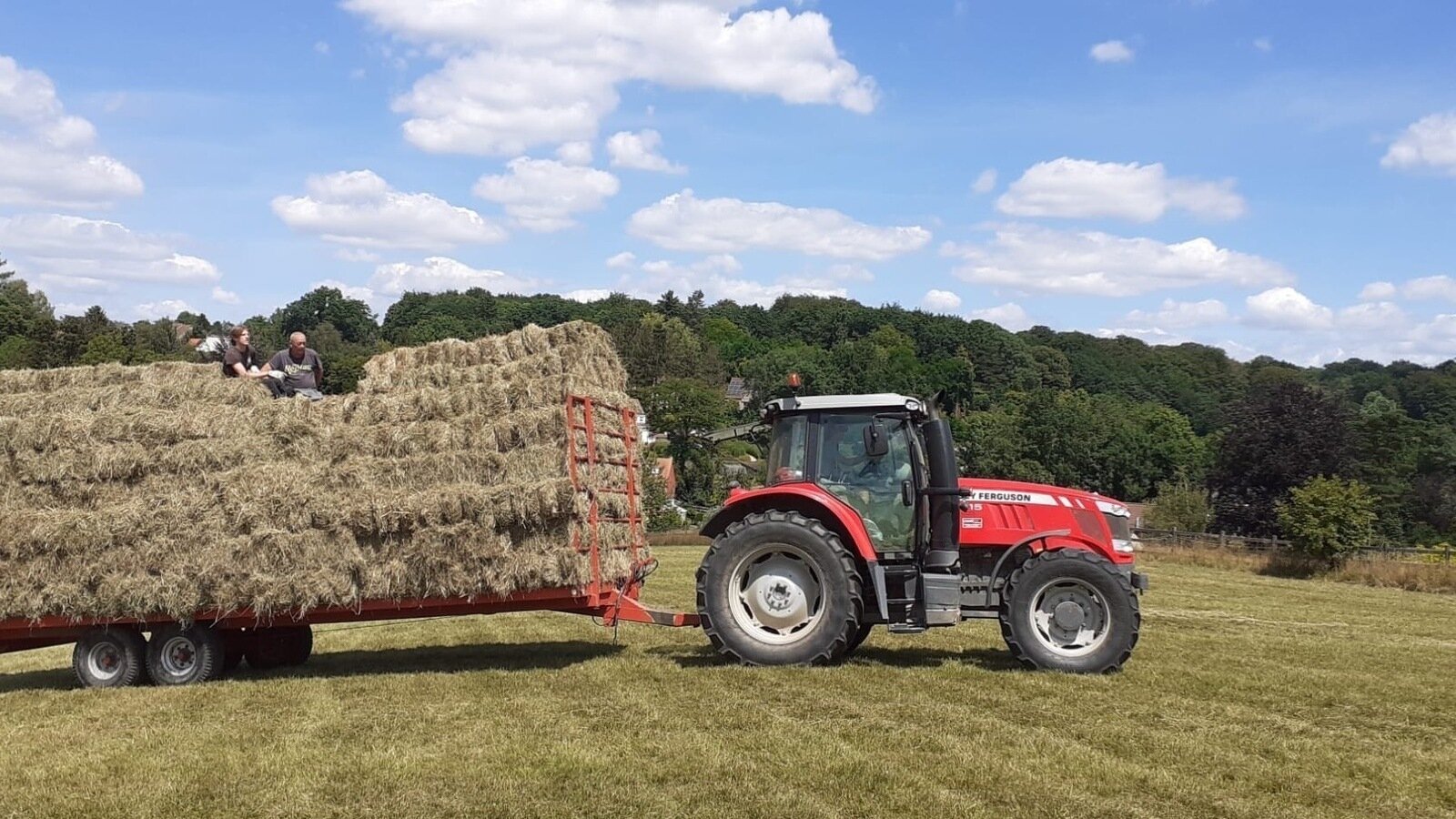 Petition · Reform the Labour Budget 2024 Inheritance Tax - United ...