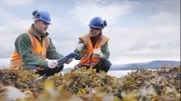 Petition · Willow Project Approval: An Opportunity for Economic Growth ...