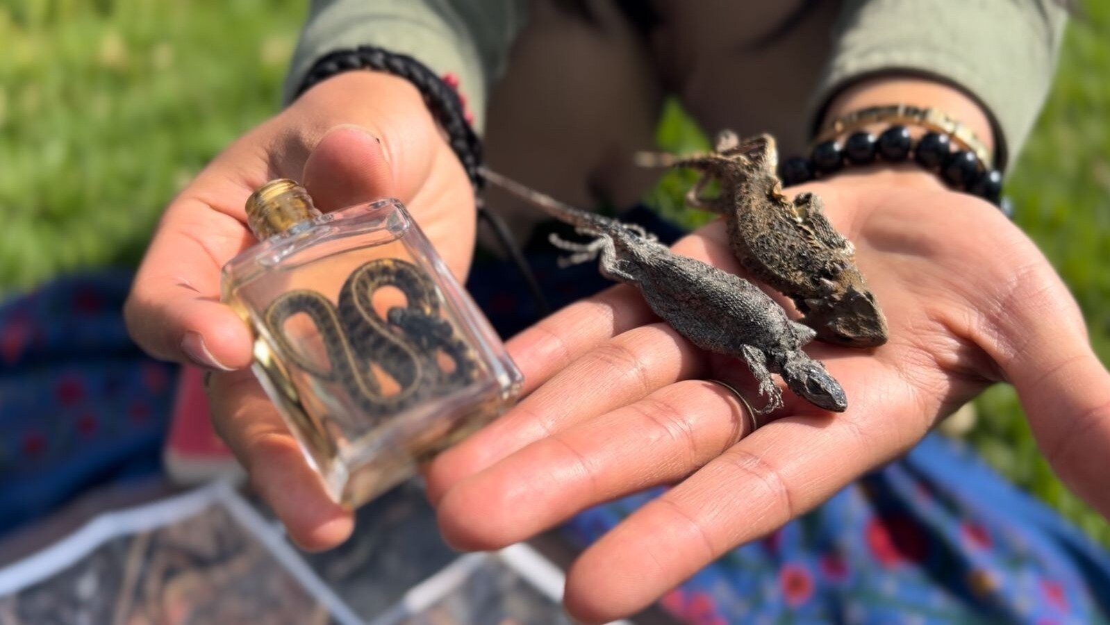 Petición · Reubicación del Centro de Control y Bienestar Animal fuera ...