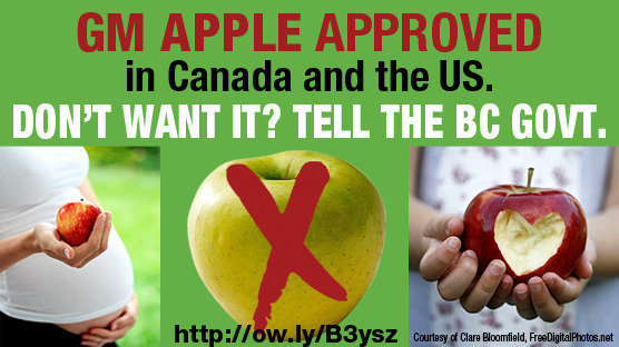 Petition · Review the possible effects of the GM Apple on the BC apple ...