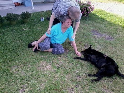 Petition · Justice for Monkey - United States · Change.org