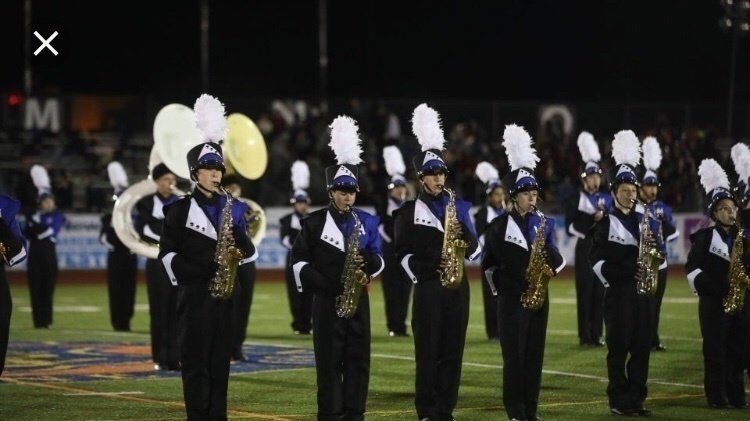 Petition · Allow Hauppauge High School to have a marching bassoonist ...