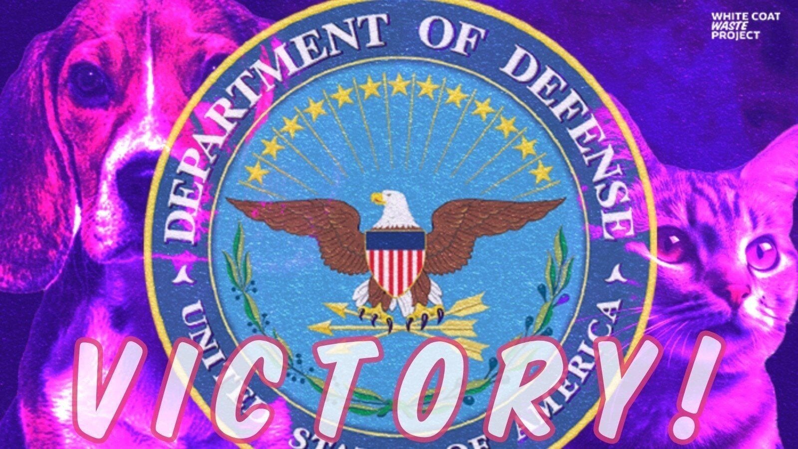 Petition update · Big win for lab animals · Change.org · Change.org