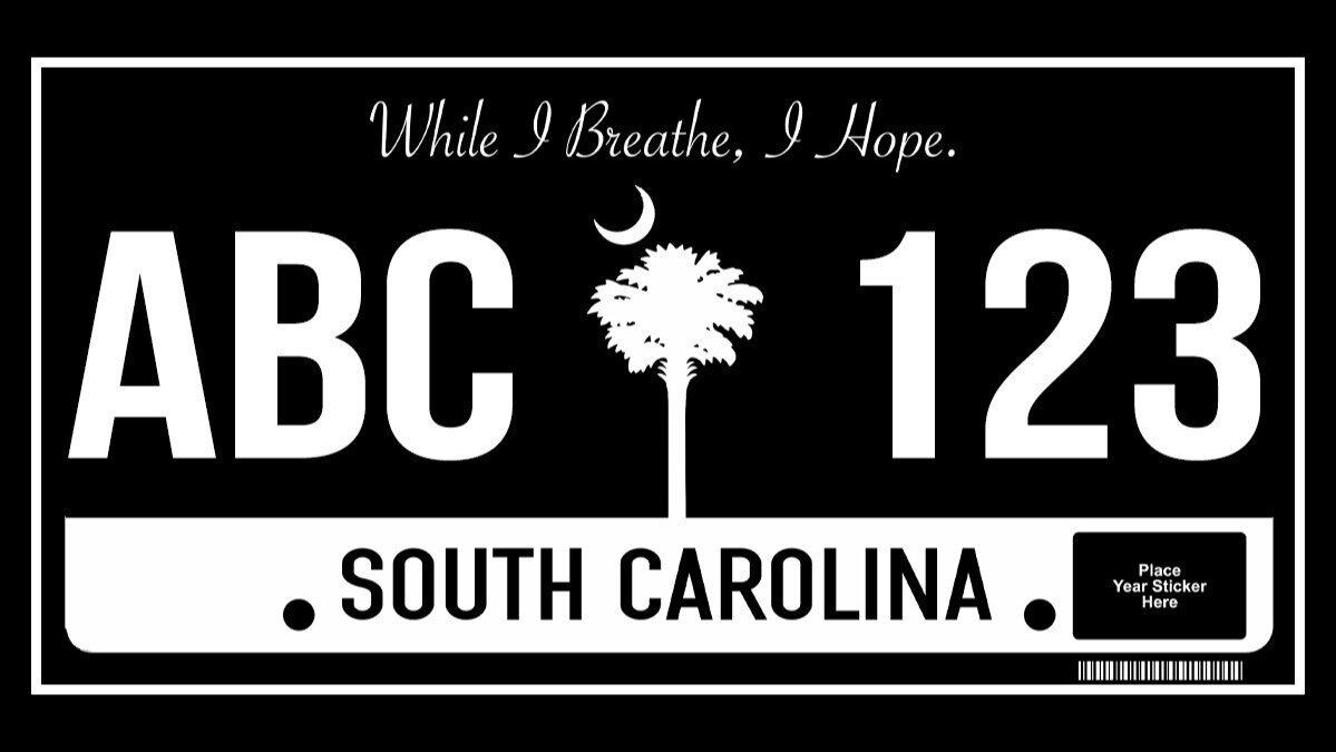 Petition · Implement Black-Style License Plates in South Carolina for a ...