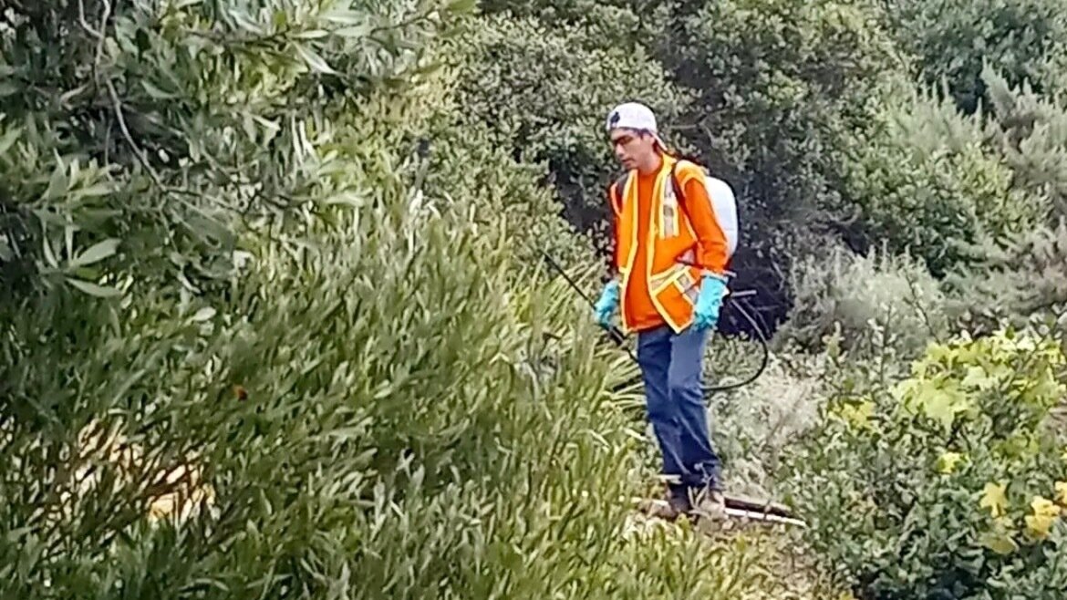 Petition · Ban Toxic Pesticides on Public Land in Laguna Beach ...