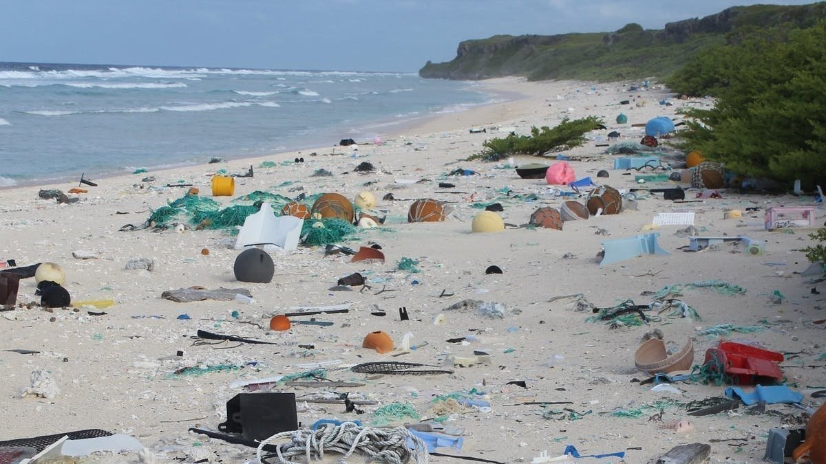 Petition · Petition for Beach Cleanliness - Australia · Change.org