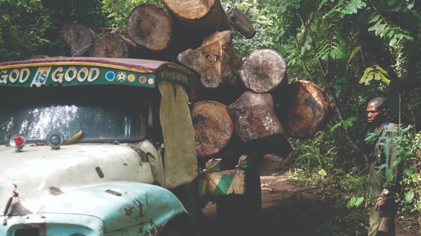 Petition · Sign this petition to protect the Cross River State Boki ...