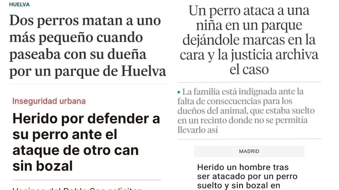 Petición · ¡Por la seguridad de todos! ¡Detengamos los ataques de ...