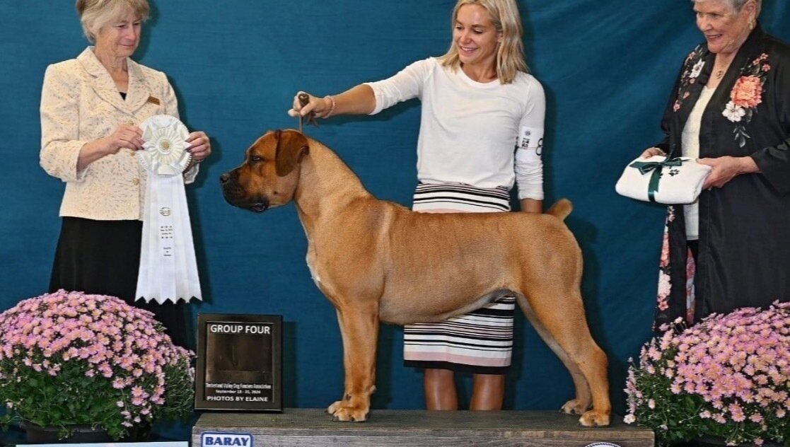 Petition · Secure a Plane for Stacey Ellis and Her Manager - United ...