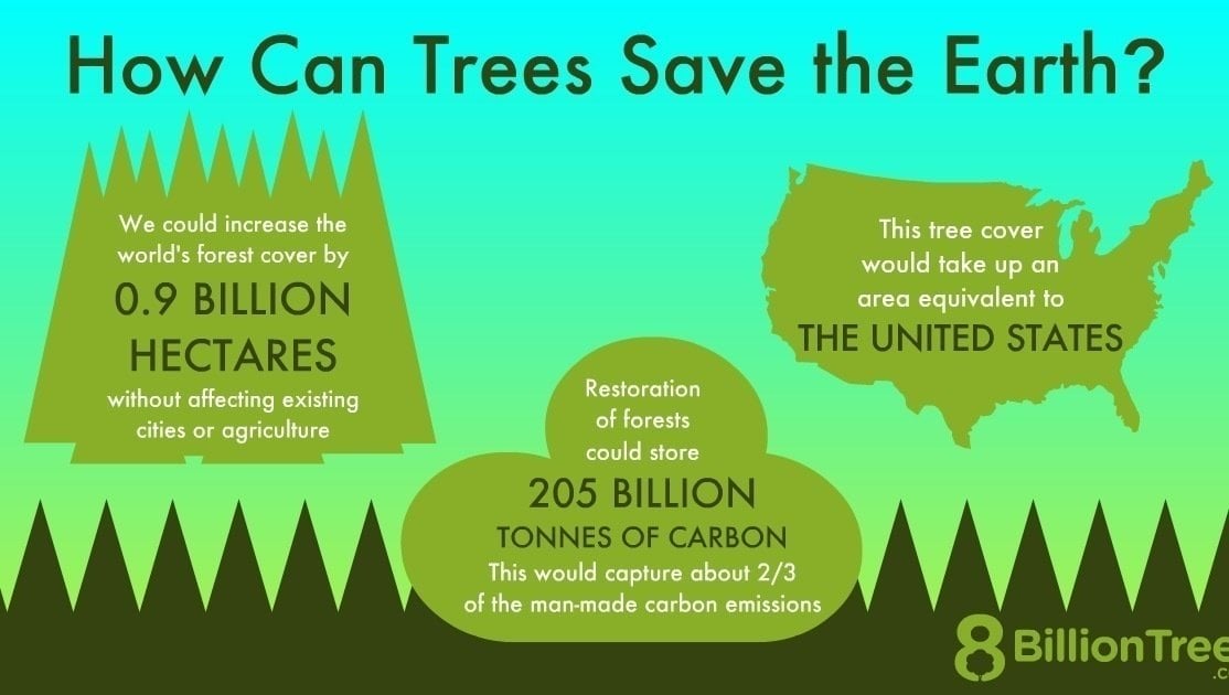 Petition · Plant trees to fight carbon emissions - United States ...