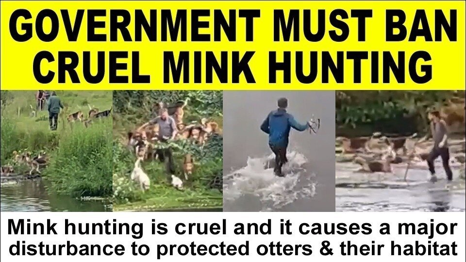 Petition update · Irish Government must ban cruel mink hunting · Change ...