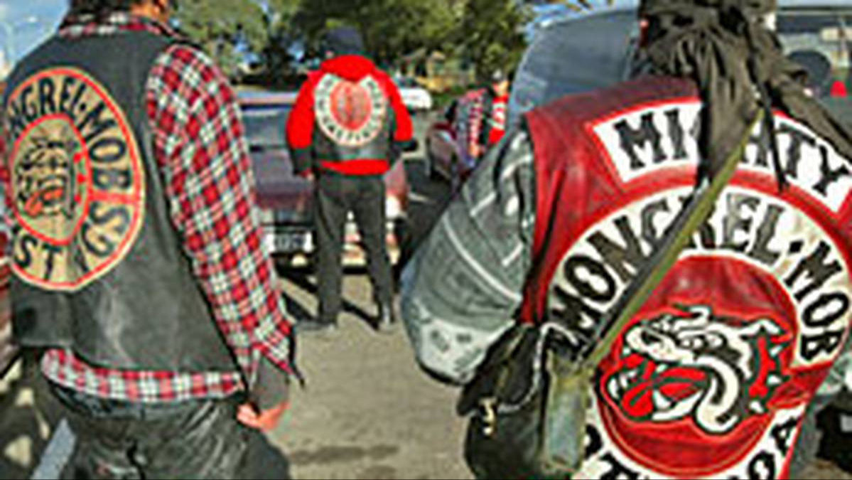 Petition · Why we shouldn't ban gang patches, association, or assembly ...