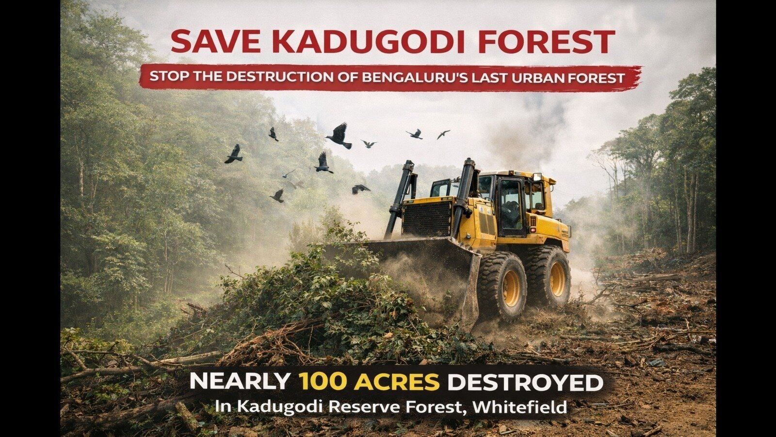 Petition update · Save the 711 Acre Kadugodi Forest! Please sign this ...