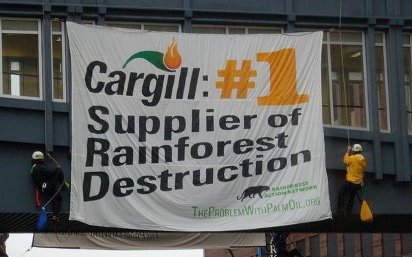 Petition · Tell Cargill to Stop Forced and Child Labor in Palm Oil ...