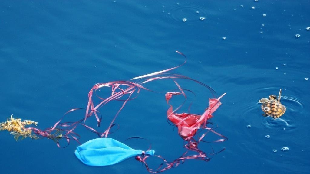 Petition · Ban Intentional Balloon Releases in Broward County - United ...