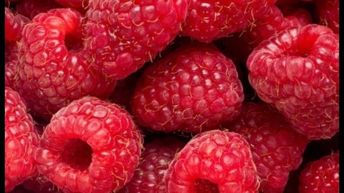 Petition · Get Biden to formally recognize the p in raspberry - United ...