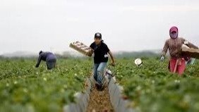 Petition · Support the Senate passing the Farm Workforce Modernization ...