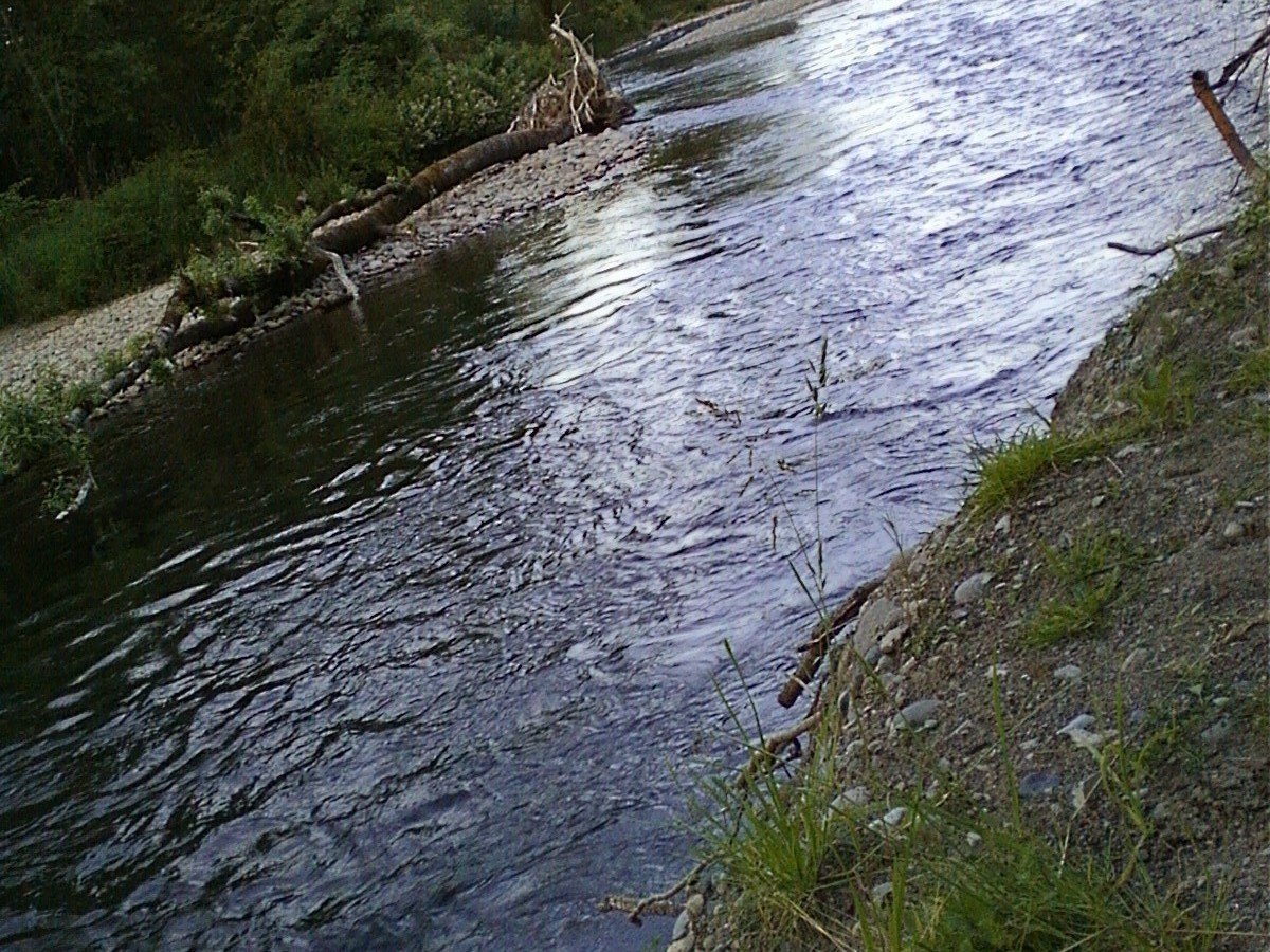 Petition · TELL THE MINING INDUSTRY AND ITS EMPLOYEES TO STOP MINING ...