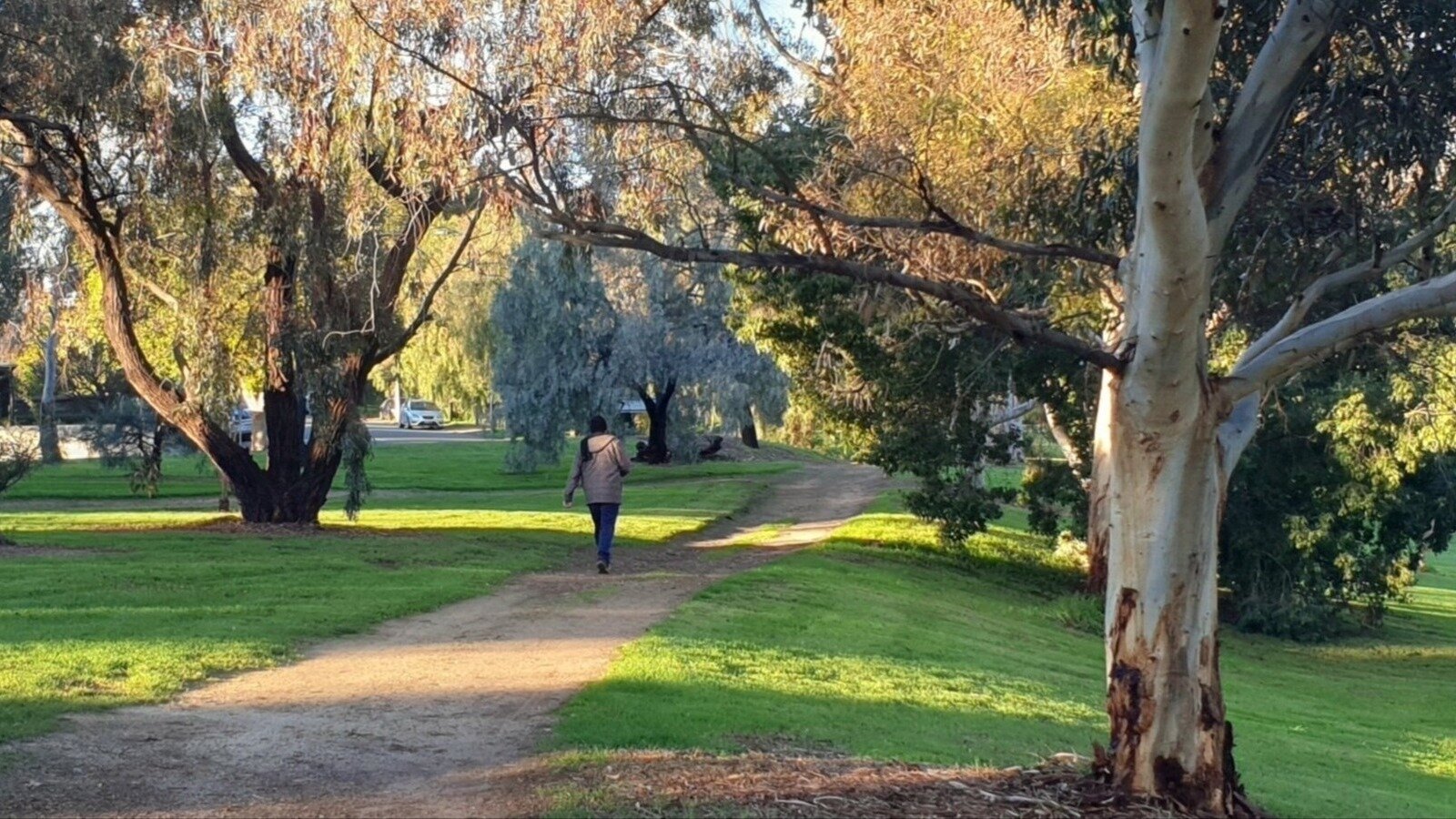 Petition update · Shock report: 600 trees likely to go! Protect Possum ...