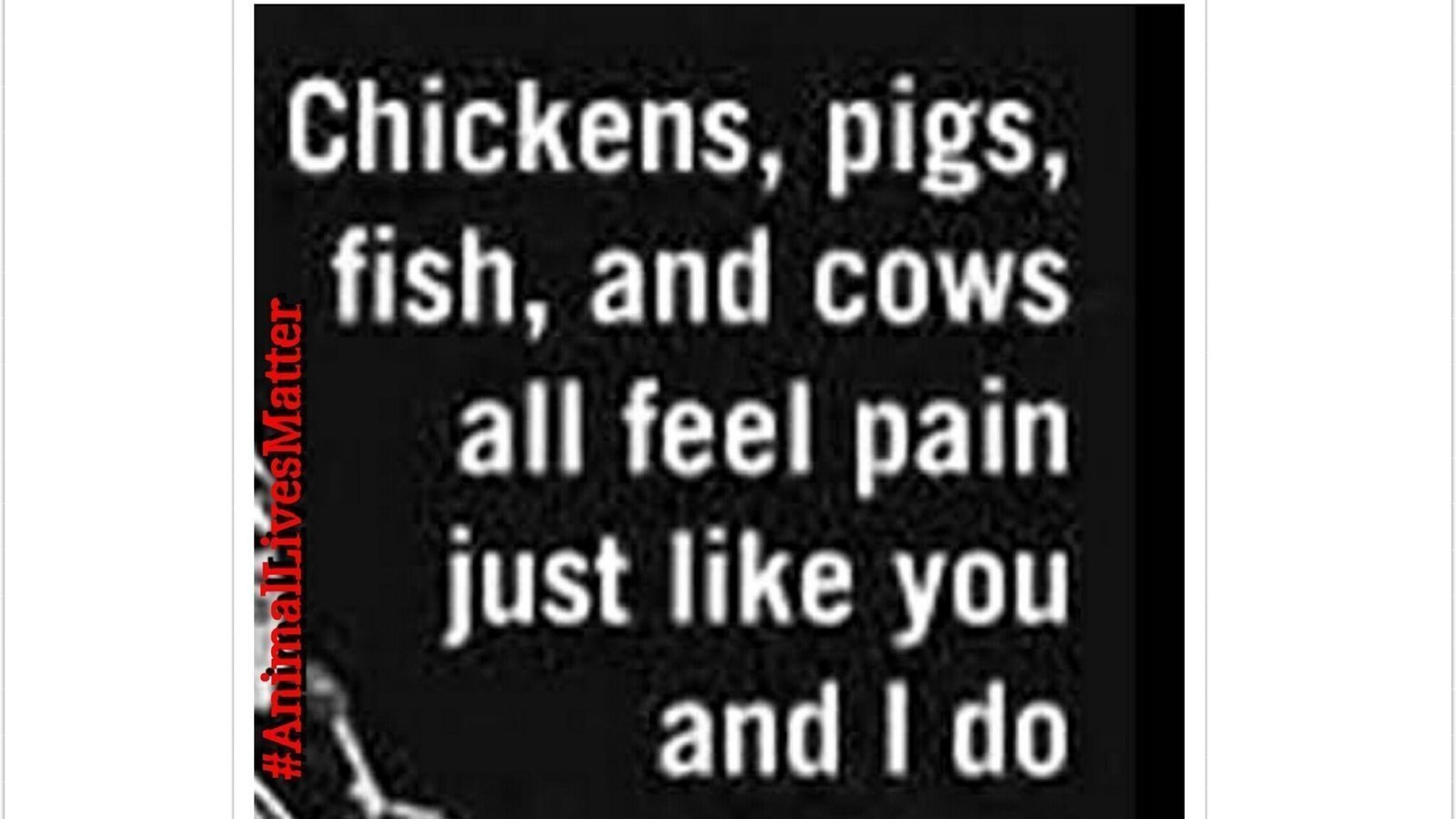Petition · Bloodless EID & Christmas...Animal Lives Matter !!! - Canada ... Petition · Bloodless EID & Christmas...Animal Lives Matter !!! - Canada ...