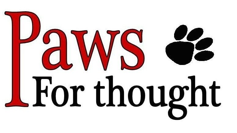 Petition · Paws for Thought: Raising Awareness for Animal Rights ...