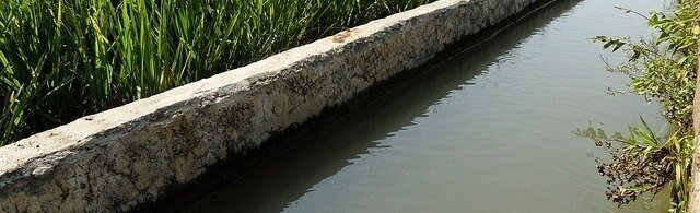 Petition · Improve Irrigation Systems in Paddy Fields of Marihatag ...