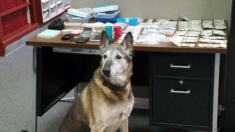 Petition · Hire Jason Mallott as Chief of Police - New Richmond, United ...