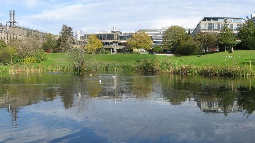 Petition · Refund University of Bath Students during the UCU Strike ...