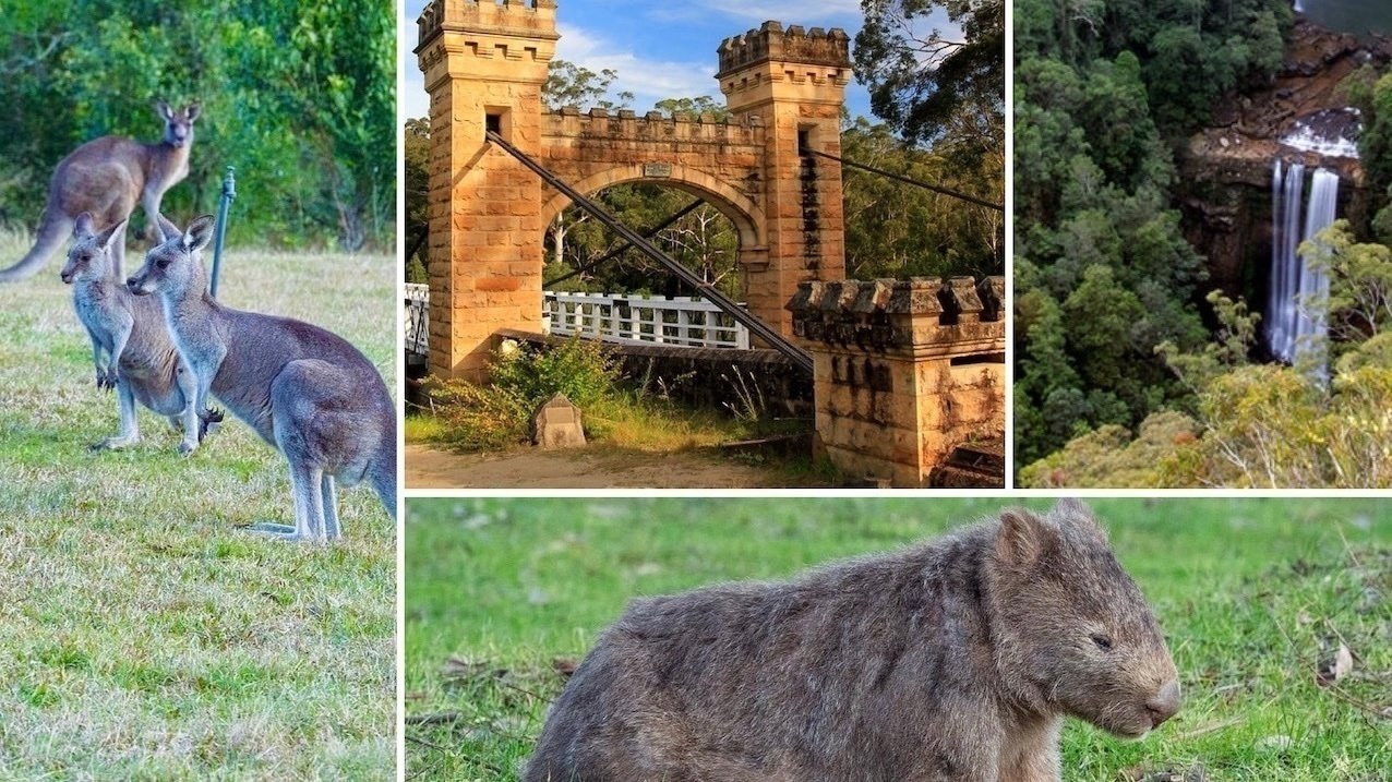 Petition · People Opposed to the Power Station Expansion in Kangaroo ...