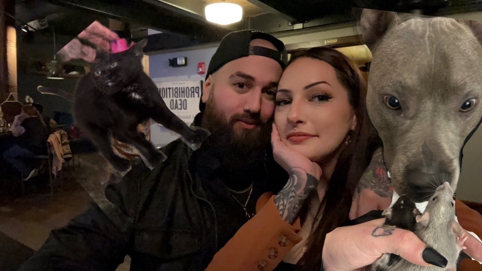 Petition · Maddie, Zack, & The Boys Need A Kitten - Murfreesboro ...