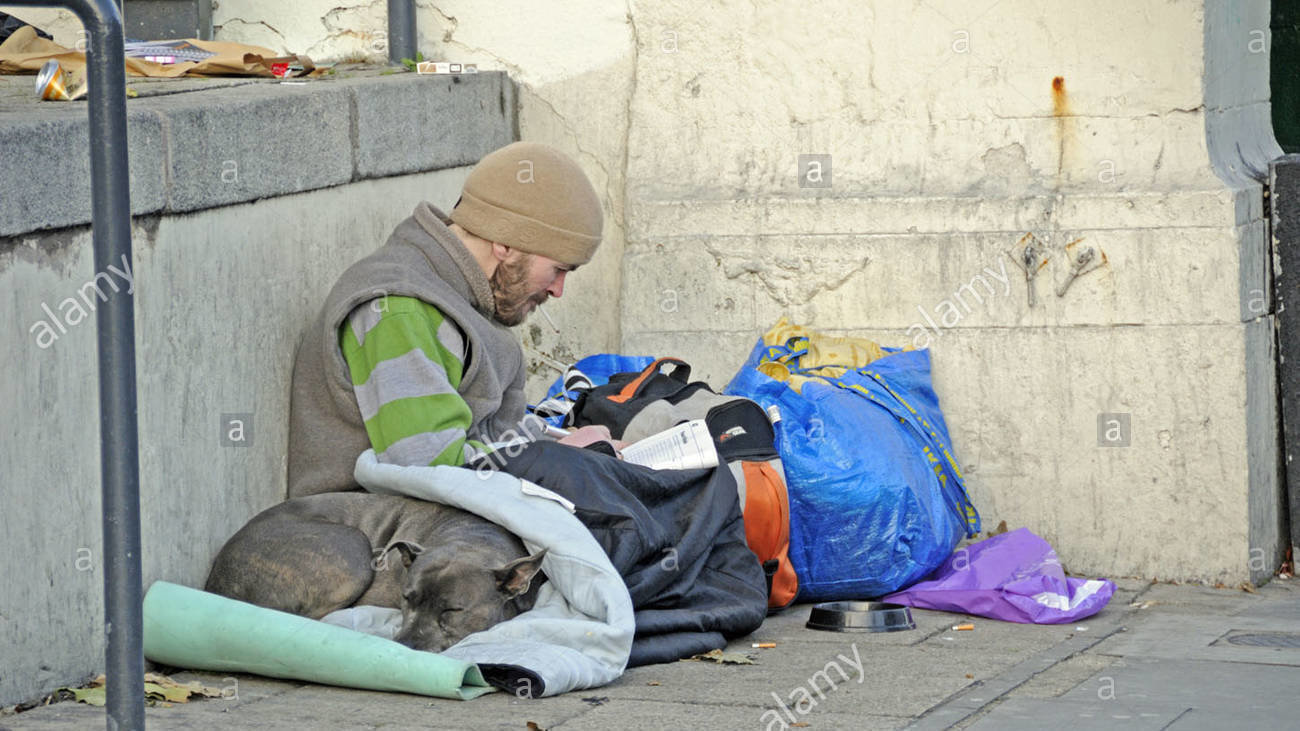 Petition · Help London homeless people with dogs - United Kingdom ...