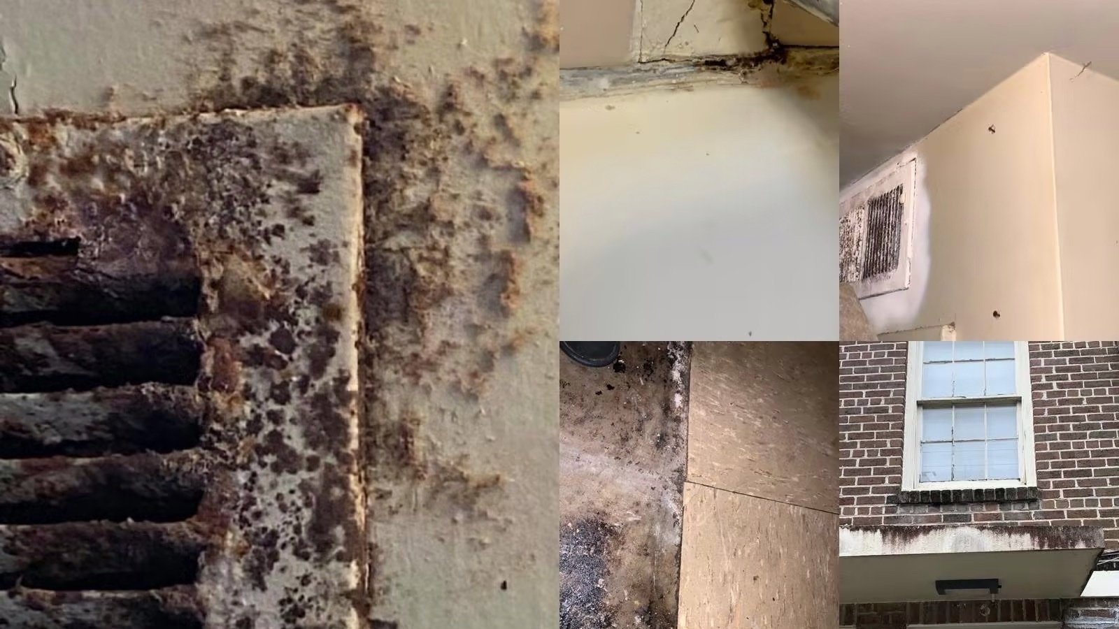 Petition · Charles' House Fights for YOUR RIGHTS! SIGN OUR PETITION ...