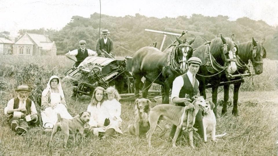 Petition · Help to save Glebe Field, Illogan from unwanted and ...