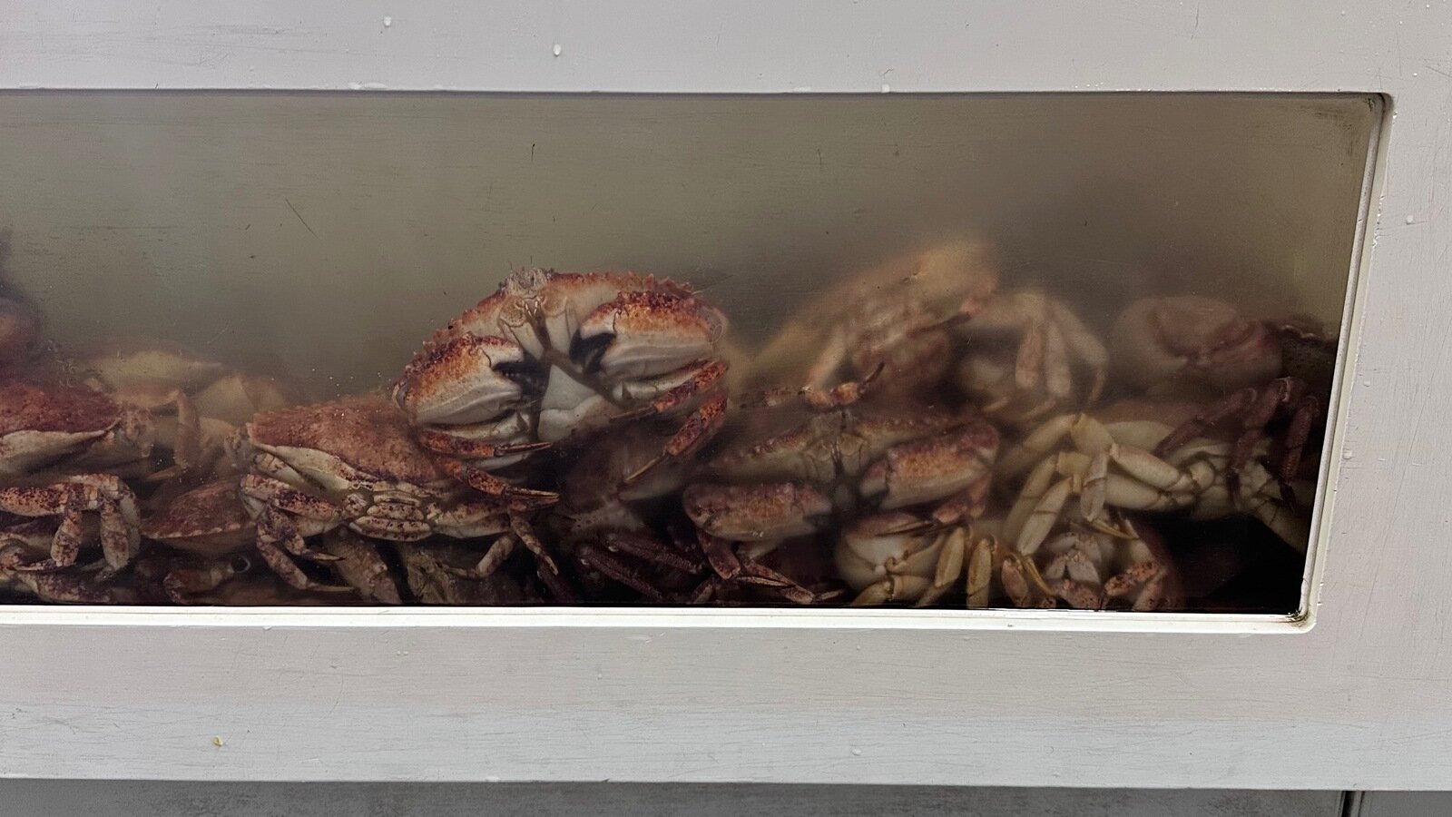 Petition · Ban the practice of boiling crabs alive in Oregon - United ...