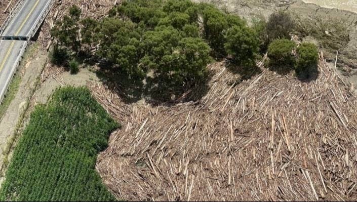 Petition · Force Forestry to be responsible for their Slash - New ...