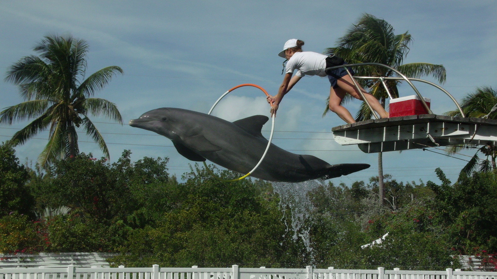 Decision Maker Response · Change.org