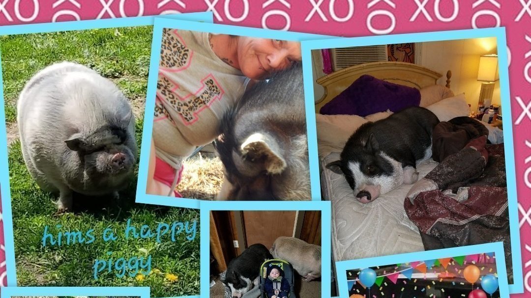 Petition update · WTG everyone · Change.org · Change.org