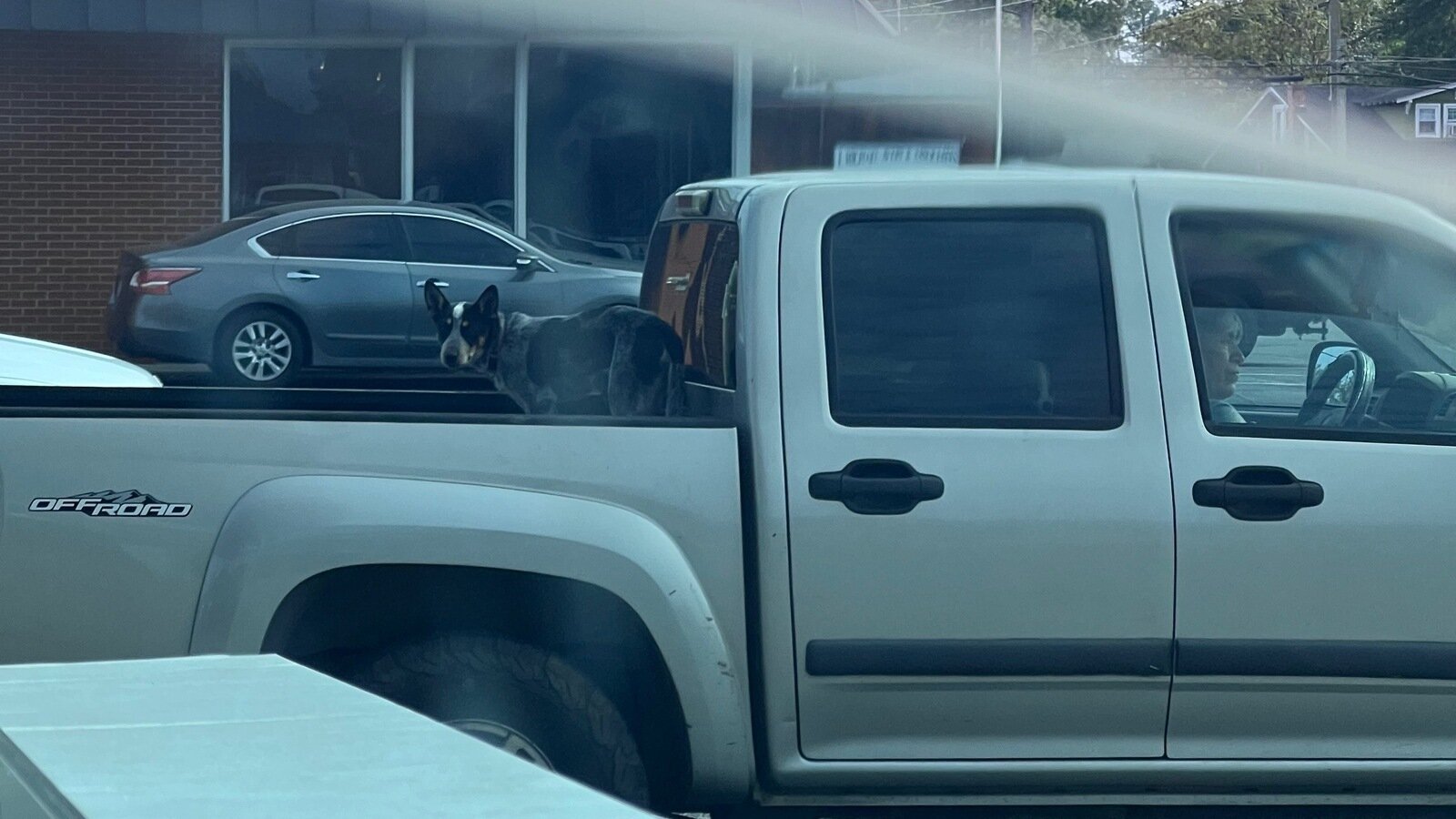 Petition · Stop Unsafe Animal Transportation Practices In North ...