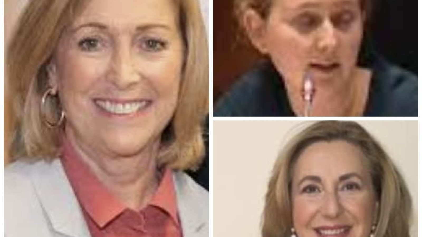 Petición · Dimisión para La comisión tutelar LA SRA. DANCAUSA, LA SRA ...