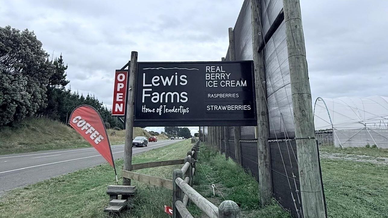 Petition · Install a southbound turning bay into Lewis Farms on State ...