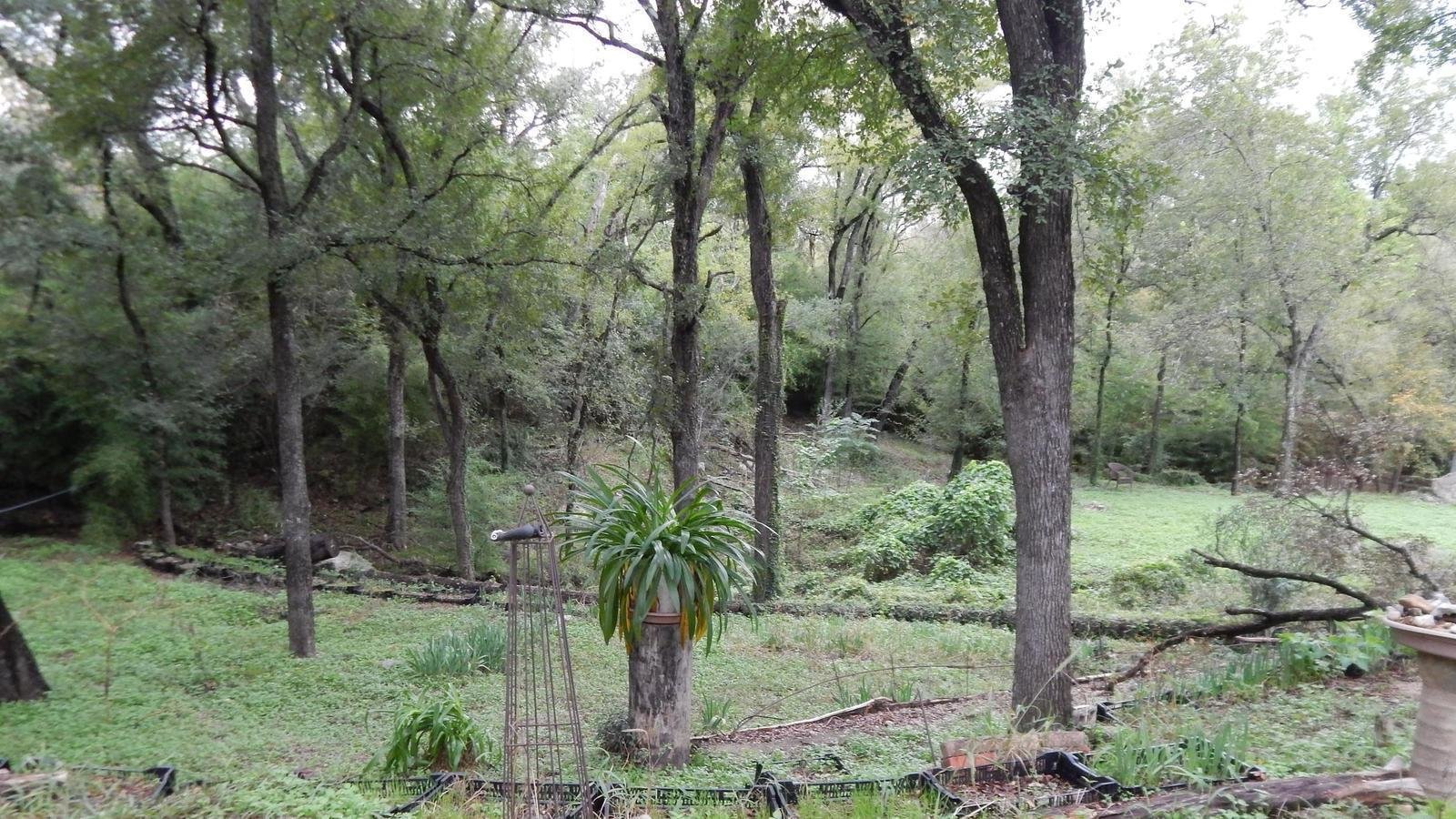 Petition · Save East Side Nature - the tree canopy, creeks, creatures ...