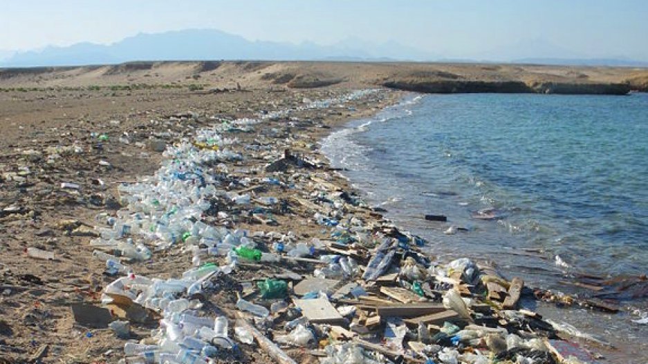 Petition · Lower the amount of plastic waste ending up in the ocean ...